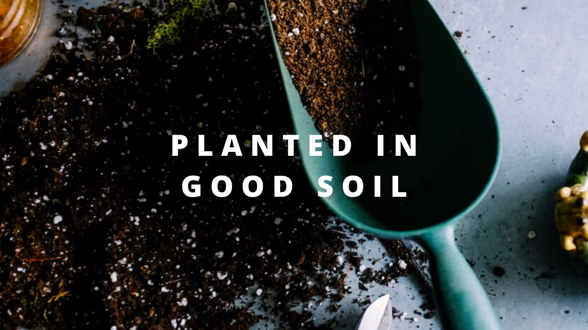 Planted in Good Soil - Christian Leaders Institute - Leadership ...